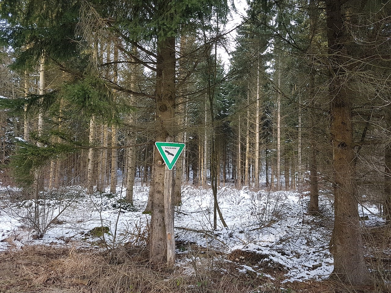 Doline - proRegion e.V.